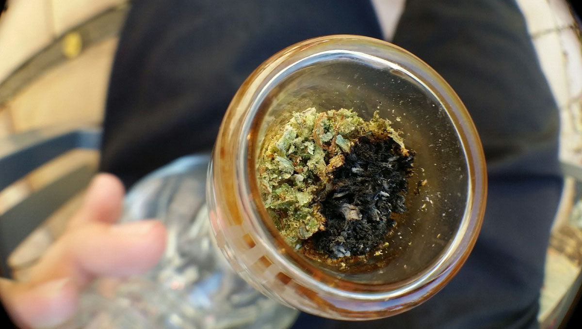 Cannabis Myths: White Ash vs. Black Ash | Fast Buds