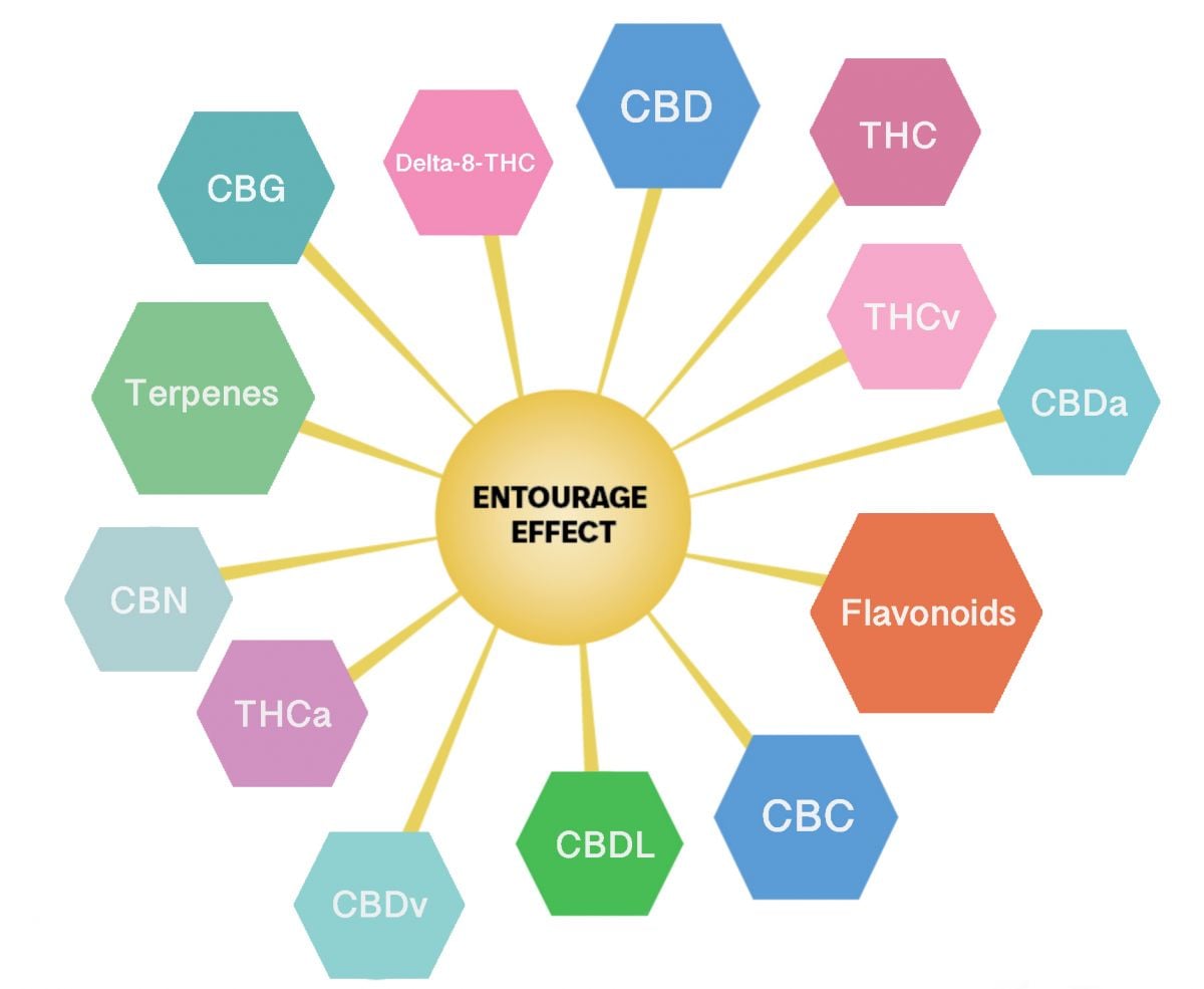What is the Entourage Effect? | Fast Buds