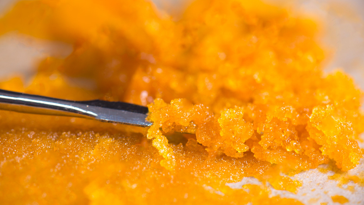 Cannabis Concentrates: Shatter vs Wax | Fast Buds