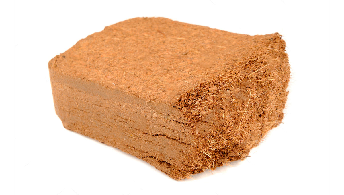 Conseils pour la culture des autofloraisons avec la fibre de coco ...