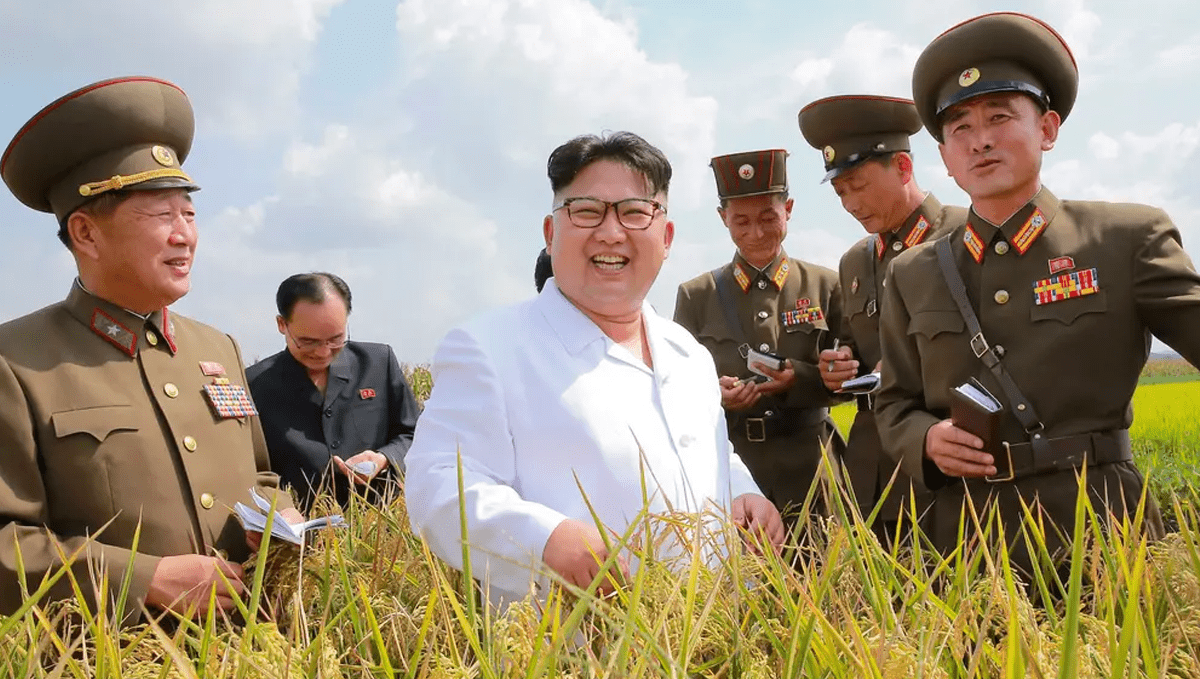 Weed in North Korea: Cannabis Legal Status Guide | Fast Buds