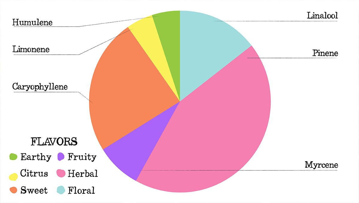 Blue Dream Auto Cannabis Strain Week-by-Week Guide | Fast Buds