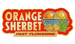 Shopping Cart | Fast Buds