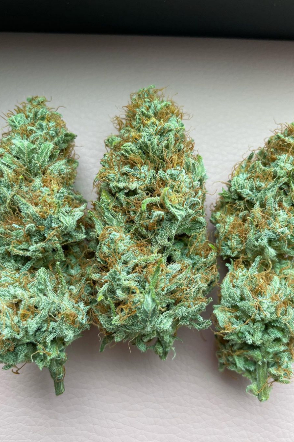 Blue Dream Auto Seeds – Buy Blue Dream Weed Strain | Fast Buds